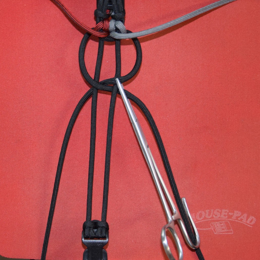 Tarantula Bar Tutorial | Swiss Paracord GmbH