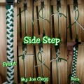 Tutorials by Joseph D.Clegg | Swiss Paracord GmbH