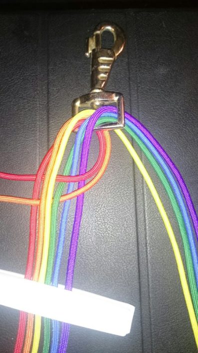 12 Strand Gaucho Braid | Swiss Paracord GmbH